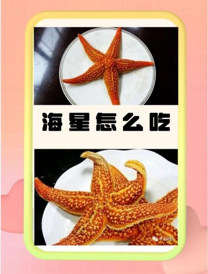 海星怎么吃才安全_海星食用禁忌有哪些-第1张图片-山城妙识 海星怎么吃才安全_海星食用禁忌有哪些-第1张图片-山城妙识