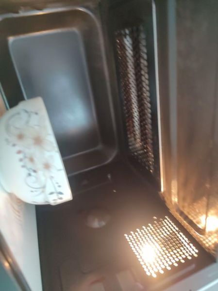 微波炉石英管与光波管区别_哪个加热更快-第3张图片-山城妙识