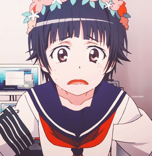 曲奇动漫怎么下载_曲奇动漫打不开怎么办-第3张图片-山城妙识