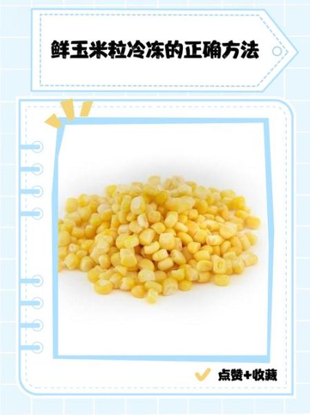 冻玉米怎么煮才好吃_冷冻玉米煮多久-第1张图片-山城妙识