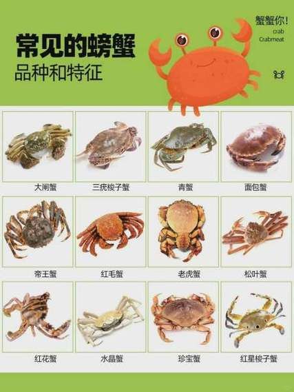 蟛蜞图片_蟛蜞和螃蟹的区别-第2张图片-山城妙识
