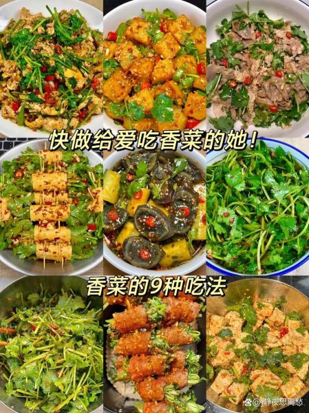 香菜怎么做好吃_香菜怎么吃最香-第2张图片-山城妙识