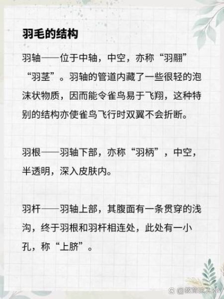 蓑怎么读音_蓑是什么意思-第3张图片-山城妙识