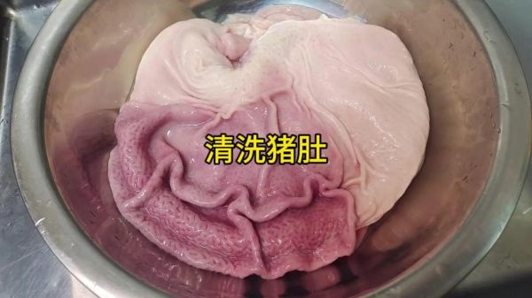 猪肚怎么清洗_猪肚怎么炖汤不腥-第3张图片-山城妙识