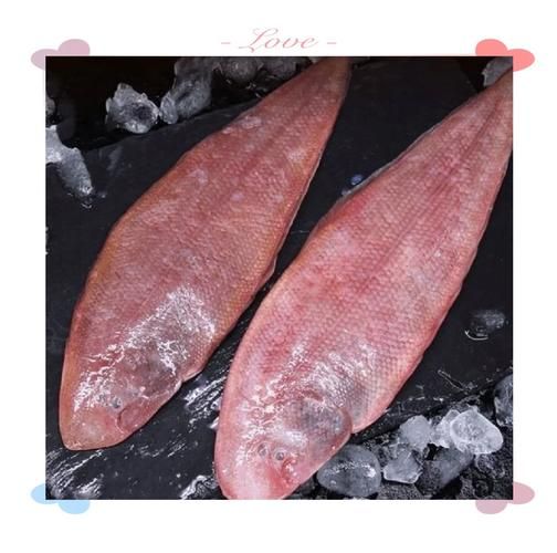 玉秃鱼是什么鱼_玉秃鱼产地在哪里-第2张图片-山城妙识