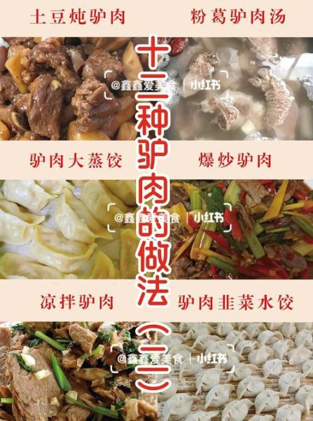 炖驴肉的做法及配料_驴肉怎么炖才烂得快-第1张图片-山城妙识