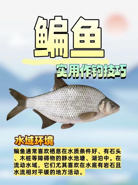 怎么钓鳊鱼用什么饵最好_鳊鱼饵料配方-第1张图片-山城妙识