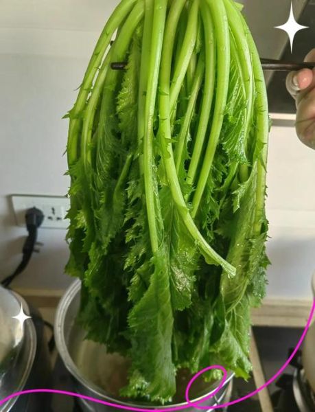 雪里蕻怎么腌又脆又绿_雪里蕻腌制不变黄的窍门-第1张图片-山城妙识