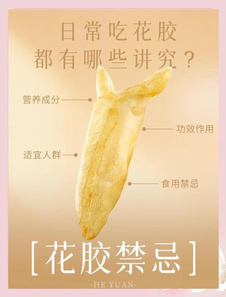 花胶的功效与作用及食用方法_花胶怎么吃最营养-第1张图片-山城妙识