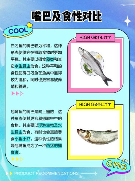 翘嘴鱼是什么鱼_翘嘴鱼和白条鱼的区别-第1张图片-山城妙识