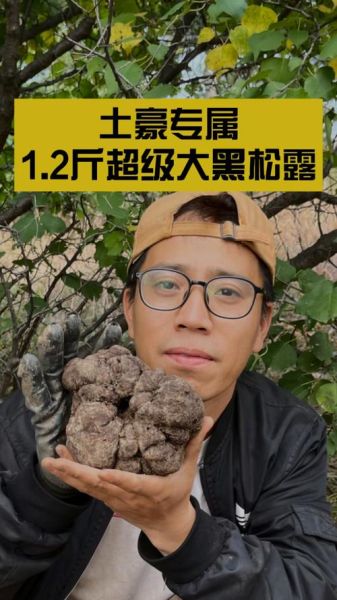黑松露多少钱一斤_2019年黑松露价格走势-第2张图片-山城妙识