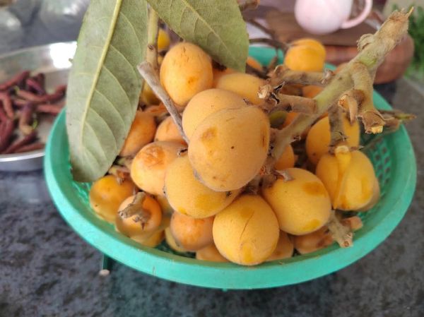 清明吃什么水果_清明时节哪些水果最养生-第2张图片-山城妙识