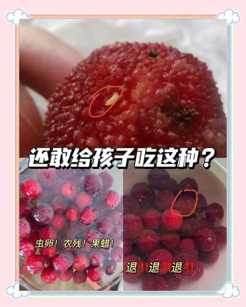 杨梅怎么洗干净_杨梅清洗的正确方法-第2张图片-山城妙识