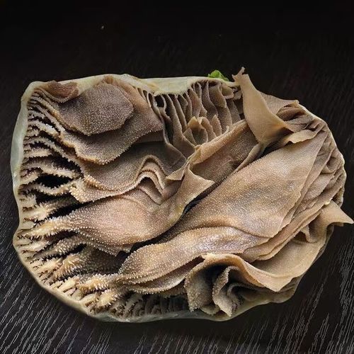 牛百叶是什么动物身上的_牛百叶和牛肚区别-第2张图片-山城妙识