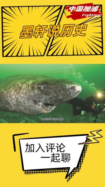 已灭绝的十大鲨鱼有哪些_它们为何消失-第3张图片-山城妙识