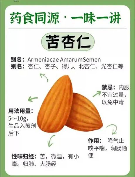 中药杏仁图片_苦杏仁与甜杏仁怎么区分-第3张图片-山城妙识
