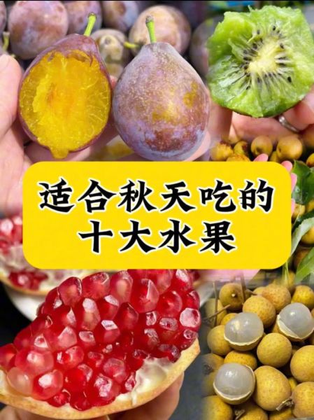 秋天适合吃什么水果_秋季润燥水果推荐-第2张图片-山城妙识 秋天适合吃什么水果_秋季润燥水果推荐-第2张图片-山城妙识
