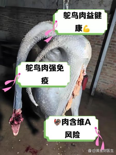 鸵鸟肉事件真相_鸵鸟肉还能不能吃-第1张图片-山城妙识