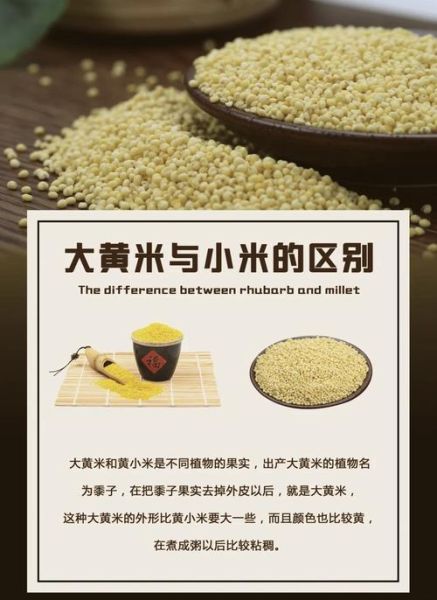 大米和小米哪个更有营养_大米和小米的功效区别-第2张图片-山城妙识