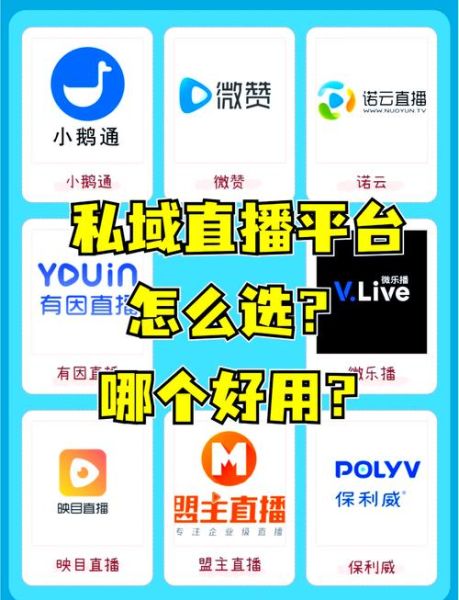 不限制尺寸大小的直播平台有哪些_如何选择-第2张图片-山城妙识