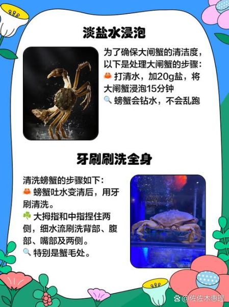 活螃蟹怎么处理_活螃蟹怎么清洗-第3张图片-山城妙识