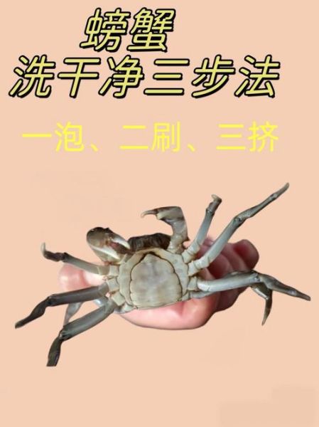 活螃蟹怎么处理_活螃蟹怎么清洗-第1张图片-山城妙识