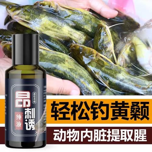 黄剑鱼怎么钓_黄剑鱼吃什么饵料-第3张图片-山城妙识