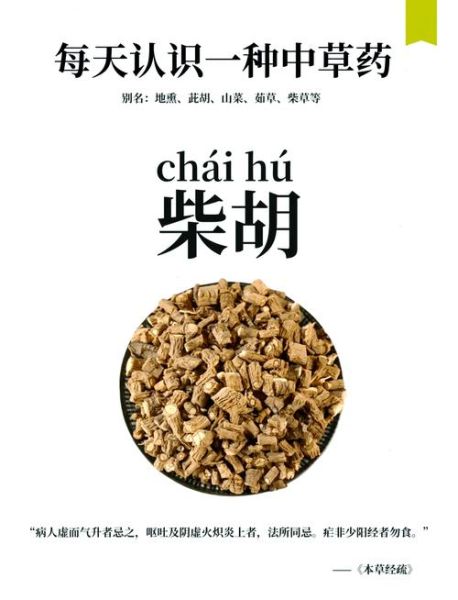 北柴胡的功效与作用_北柴胡的副作用有哪些-第2张图片-山城妙识