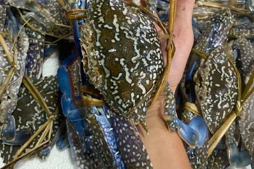 花蟹怎么处理干净_花蟹清洗步骤-第2张图片-山城妙识