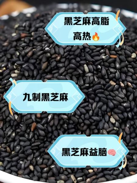 黑芝麻怎么吃最有营养_黑芝麻一天吃多少克-第1张图片-山城妙识