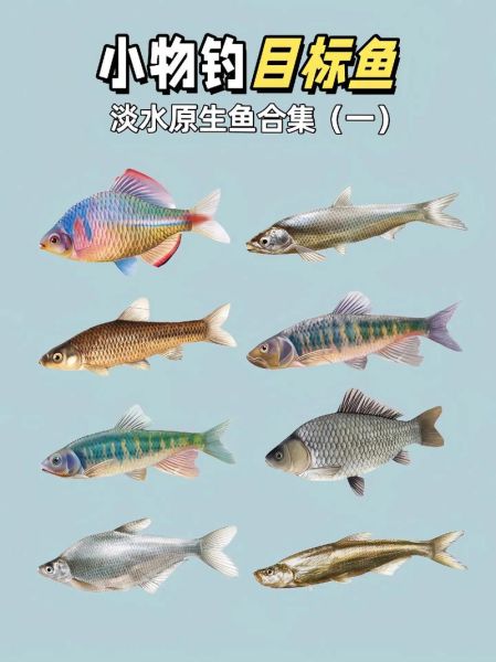 野生小河鱼名称大全_常见品种有哪些-第1张图片-山城妙识