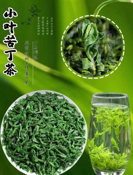 苦丁茶有几种_苦丁茶图片大全-第2张图片-山城妙识
