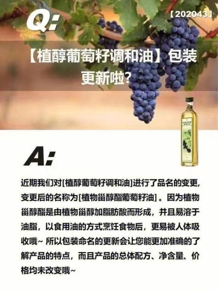 葡萄籽油怎么吃_葡萄籽油适合凉拌还是热炒-第2张图片-山城妙识