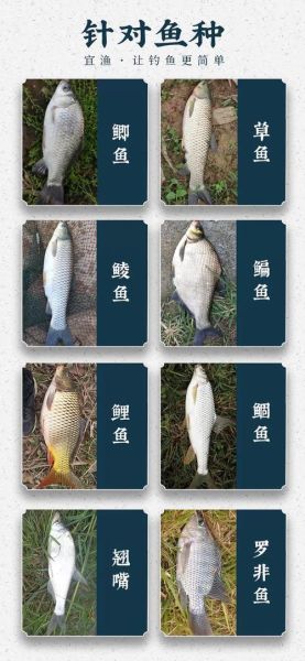 炸鱼塘用什么饵料_炸鱼塘违法吗-第1张图片-山城妙识