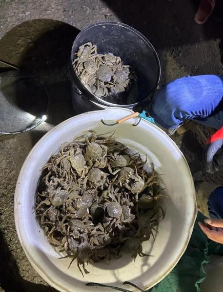 螃蟹交易中心在哪_如何挑选优质蟹-第3张图片-山城妙识