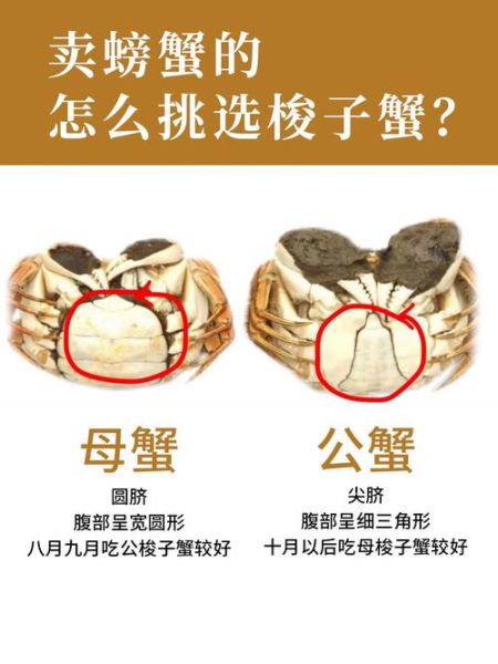螃蟹交易中心在哪_如何挑选优质蟹-第1张图片-山城妙识