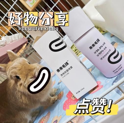 兔子怎么养不臭_兔子除臭最有效的方法-第1张图片-山城妙识 兔子怎么养不臭_兔子除臭最有效的方法-第1张图片-山城妙识