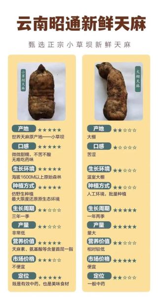 新鲜天麻怎么吃最好_新鲜天麻的五种吃法-第2张图片-山城妙识 新鲜天麻怎么吃最好_新鲜天麻的五种吃法-第2张图片-山城妙识