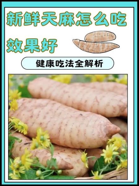 新鲜天麻怎么吃最好_新鲜天麻的五种吃法-第1张图片-山城妙识 新鲜天麻怎么吃最好_新鲜天麻的五种吃法-第1张图片-山城妙识