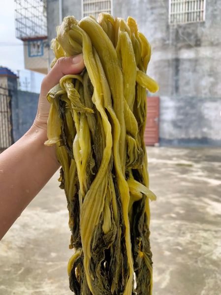 农村酸菜怎么腌制_农村酸菜的做法步骤-第1张图片-山城妙识