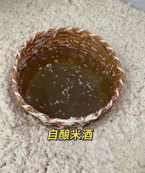 自酿糯米甜酒的做法窍门_为什么糯米甜酒发酸-第3张图片-山城妙识 自酿糯米甜酒的做法窍门_为什么糯米甜酒发酸-第3张图片-山城妙识