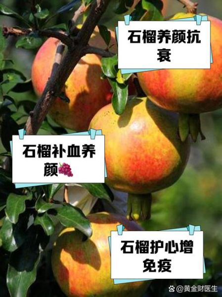 女性吃石榴有什么好处_石榴对女性的功效与作用-第2张图片-山城妙识