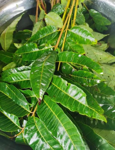 家庭自制豆瓣酱怎么做_豆瓣酱发酵多久才香-第1张图片-山城妙识