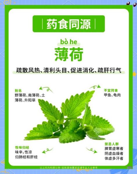薄荷怎么吃_薄荷有什么功效-第1张图片-山城妙识