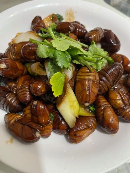 茧蛹子怎么炒好吃_茧蛹子营养价值高吗-第2张图片-山城妙识