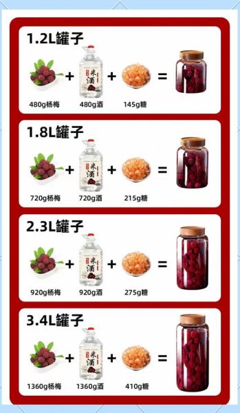 发酵杨梅酒怎么做_自制杨梅酒比例窍门-第3张图片-山城妙识