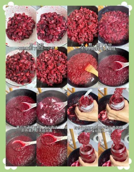 发酵杨梅酒怎么做_自制杨梅酒比例窍门-第1张图片-山城妙识