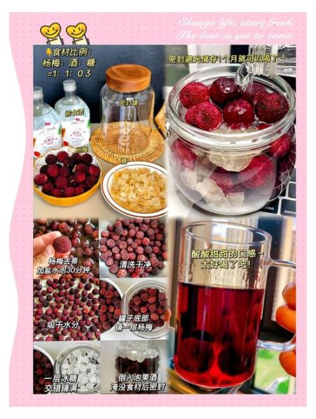 发酵杨梅酒怎么做_自制杨梅酒比例窍门-第2张图片-山城妙识