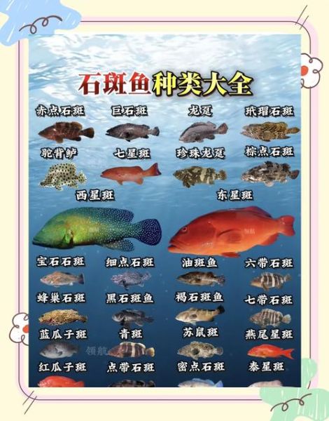 最贵的石斑鱼有哪些_顶级石斑鱼价格排行-第1张图片-山城妙识