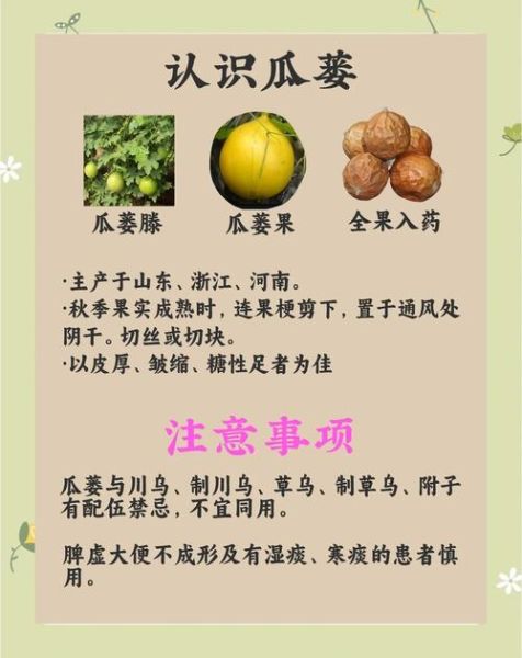 瓜蒌的功效与作用_瓜蒌怎么吃最好-第1张图片-山城妙识